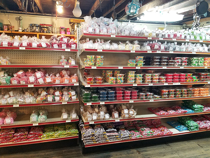 Candy heaven isn't a myth—it's methodically organized on metal shelves. These aren't just sweets; they're edible time machines to your childhood.