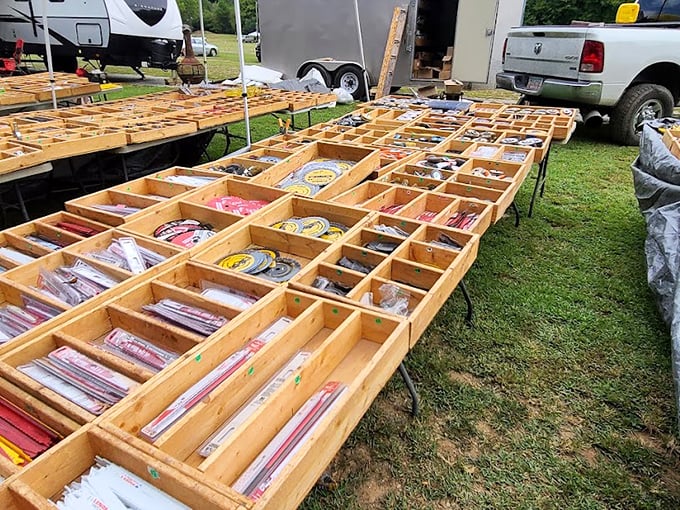 Life's random treasures spread across tables like a garage sale curated by someone with delightfully eclectic taste.