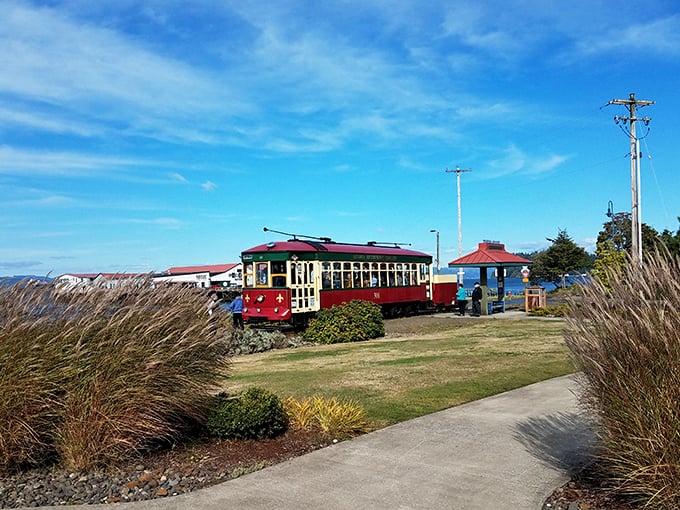 This vintage trolley transforms ordinary transportation into a scenic journey through maritime history and charm.