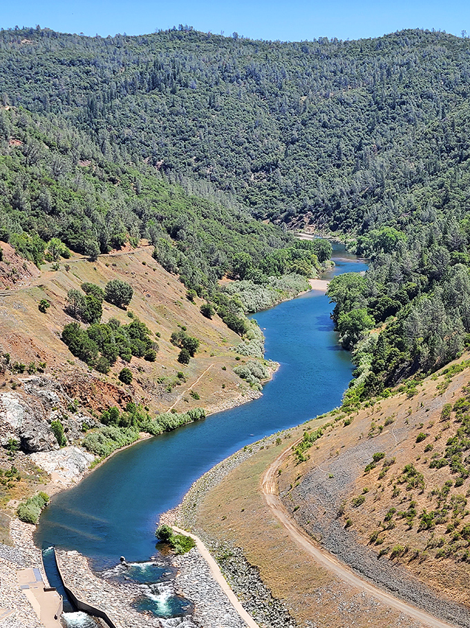 The American River carves through the canyon like nature's answer to stress relief. Auburn's backyard paradise offers views that Instagram filters can't improve.
