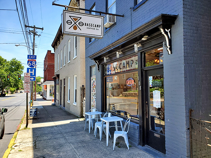 Basecamp Coffee serves the kind of brew that makes you understand why people write poetry about caffeine.