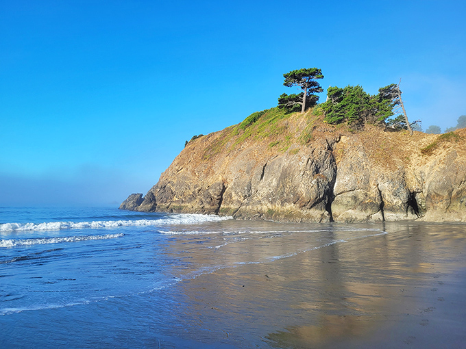 That moment when you realize your office view will never compete with this. Battle Rock Wayside Park delivers the kind of coastal drama that makes everyday worries evaporate.