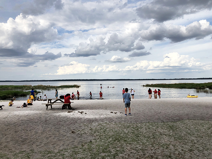 Beach day without the crowds! Lake Louisa's sandy shores provide all the relaxation of the coast without the fight for towel space.