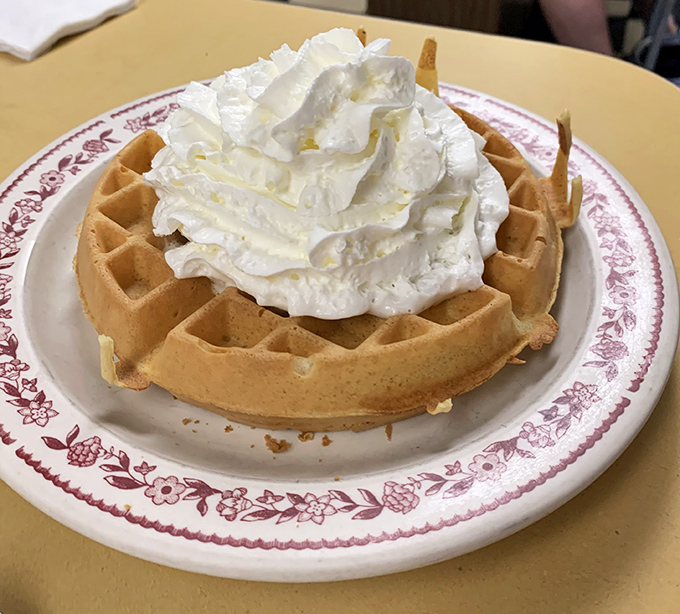 Cloud-like Belgian waffle topped with a mountain of whipped cream. This isn't breakfast—it's morning dessert that somehow feels nutritionally justified.