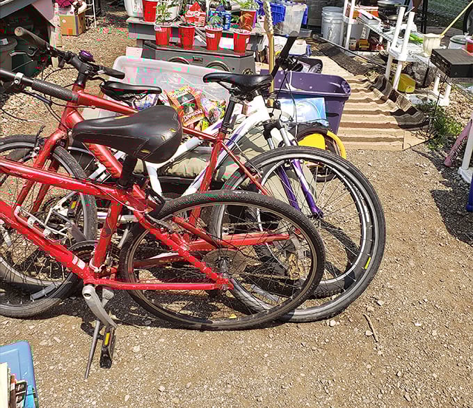 Vintage wheels waiting for their second act. These red beauties could be your eco-friendly chariot or hipster street cred on spokes.