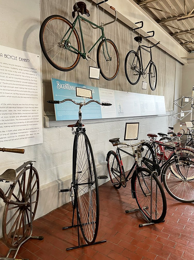From penny-farthings to racing bikes, this bicycle exhibit traces the evolution of two-wheeled transportation. Before cars made us lazy, these were cutting-edge tech!