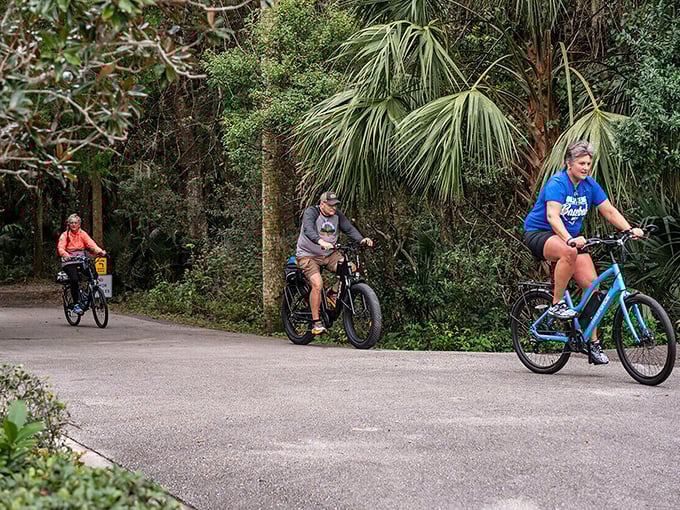 Deltona's trails offer nature's air conditioning under a canopy of palms. The only traffic jam you'll encounter involves turtles crossing the path.