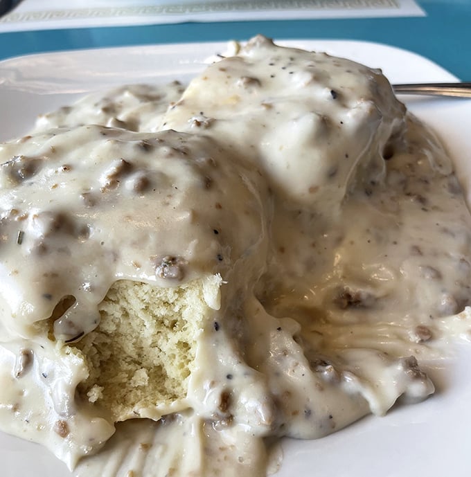 Biscuits and gravy so rich and peppery it could finance its own retirement plan. That bite taken out? Pure research for your benefit.