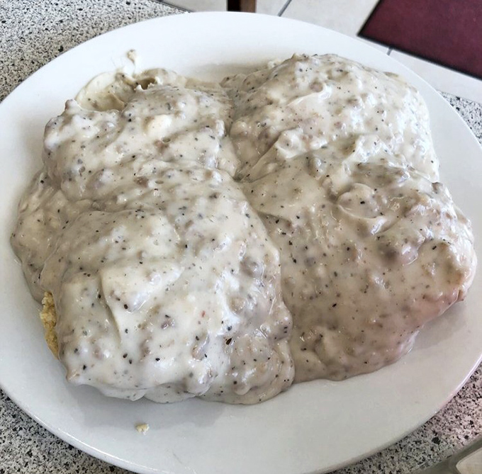 Two golden biscuits drowning in creamy sausage gravy that could make a grown person weep with joy.