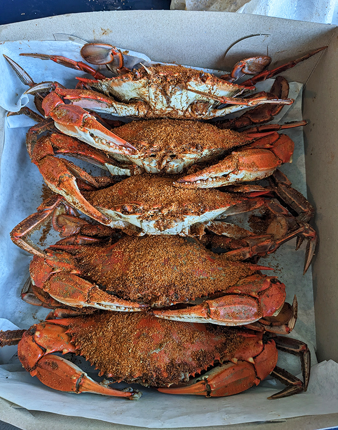 Blue crab perfection! These seasoned beauties aren't just food&mdash;they're an interactive experience that rewards the patient and punishes the hurried.