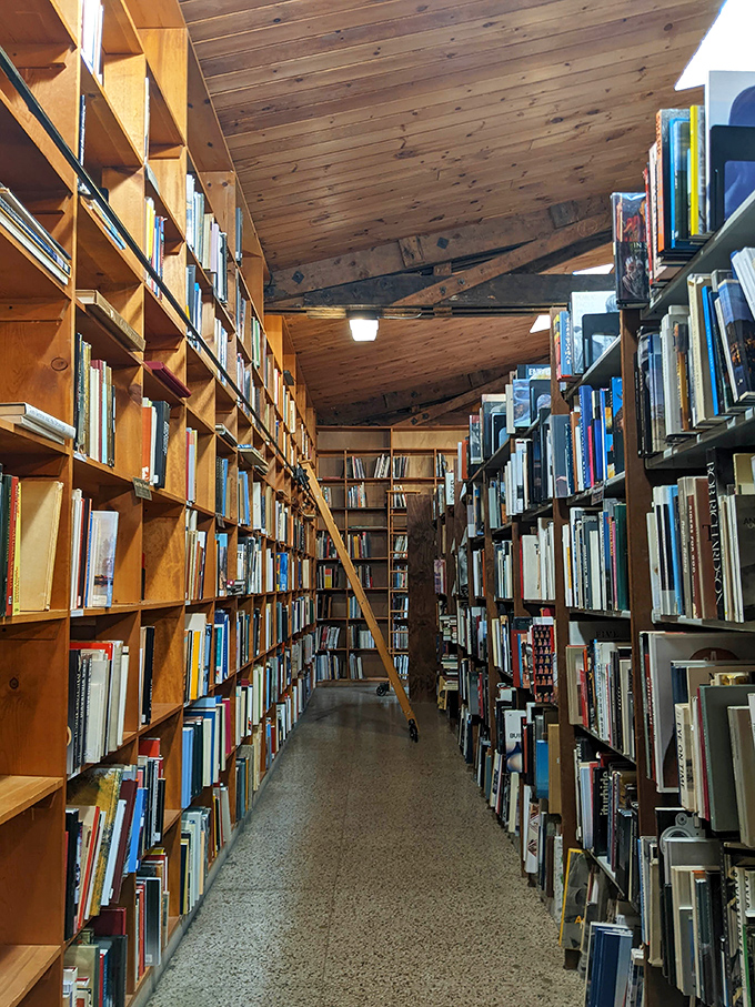 Wooden shelves stretch toward wooden ceilings, creating literary canyons where adventurous readers can lose themselves for hours.