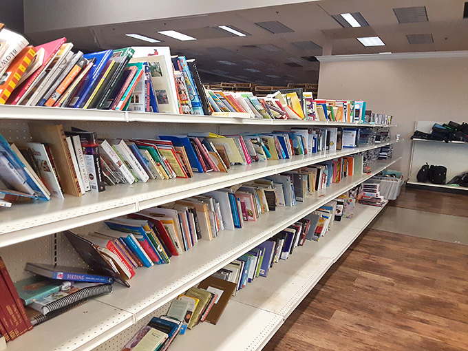 Literary adventures stack up by the shelf-full. Where else can you find a Stephen King thriller, Julia Child cookbook, and obscure poetry collection all in one expedition?