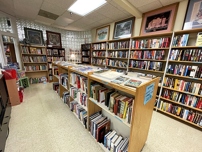 Floor-to-ceiling literary chaos where that perfect first edition is hiding like Waldo in a striped shirt convention.