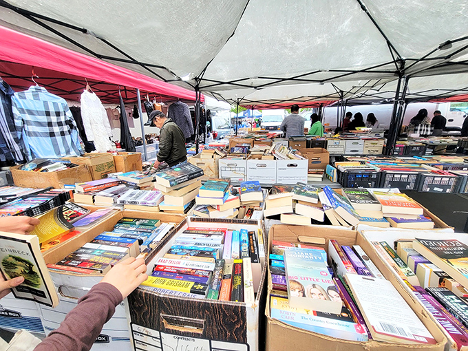 Literary heaven for bibliophiles on a budget. That novel you've been meaning to read? It's here, waiting patiently between a forgotten bestseller and someone's college textbook.