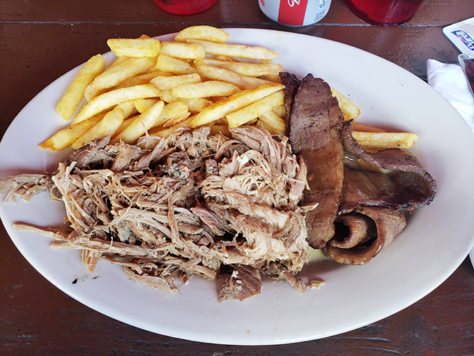 Behold the holy trinity of barbecue: tender pulled pork, slices of brisket with that perfect pink smoke ring, and golden fries to soak up every precious drop.