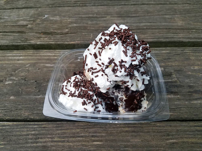 The legendary brownie sundae in its natural habitat. Notice how the chocolate sprinkles cascade like confetti celebrating your excellent life choices.