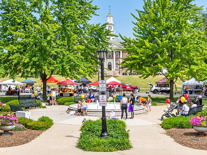 Burlington Park transforms into a vibrant community hub during market days, proving that the best social network has always been face-to-face conversation.