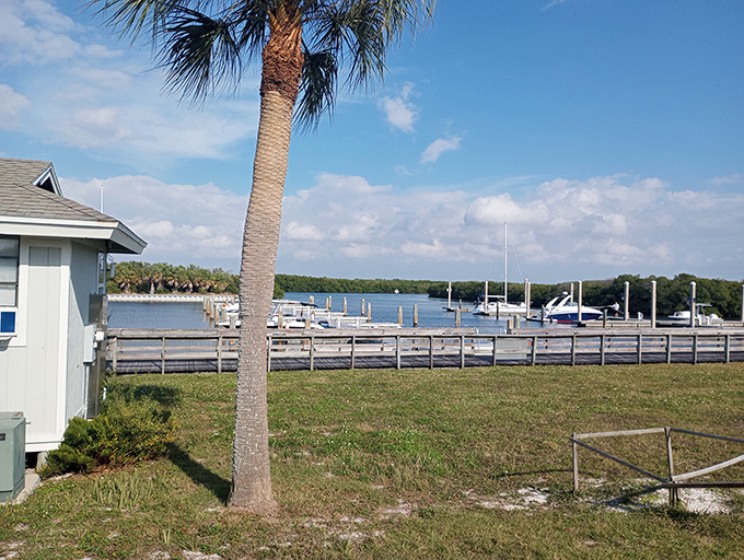 Marina views that make you question why you ever stress about anything. Those boats gently bobbing in crystal waters are basically Florida's version of a meditation app.