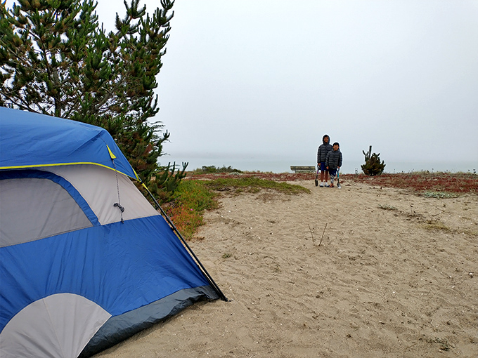 Beach camping at its most magical. Nothing beats falling asleep to crashing waves and waking up to find the Pacific Ocean as your front yard.