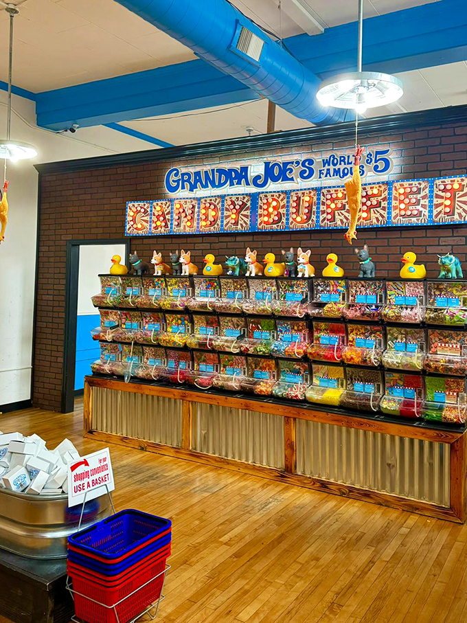 Behold the legendary $5 candy buffet in all its glory, where rubber ducks stand guard over treasure more valuable than gold&mdash;pure, unadulterated sugar.