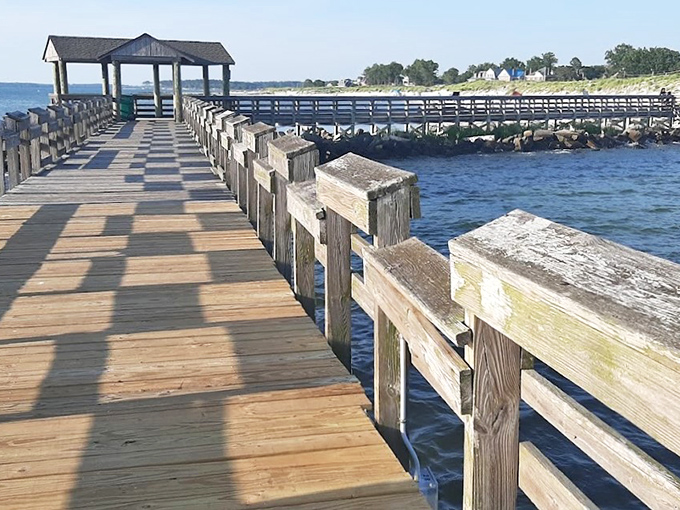 This wooden fishing pier stretches toward forever, promising either the catch of the day or at least a perfect spot for contemplative life decisions.