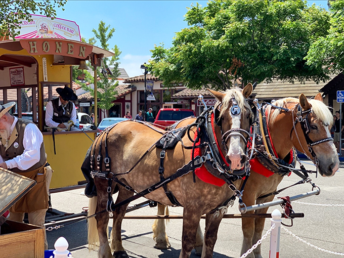 These magnificent horses aren't just giving tours &ndash; they're time machines to a bygone era. Clip-clopping through Solvang beats any rideshare experience I've ever had.
