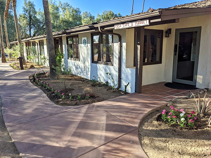 Casa Caf&eacute; America offers that quintessential desert charm &ndash; where every breakfast comes with a side of mountain views.