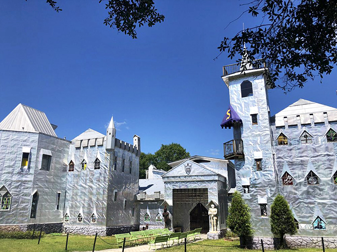 Educational and beautiful, because learning about nature shouldn't feel like homework from decades past.