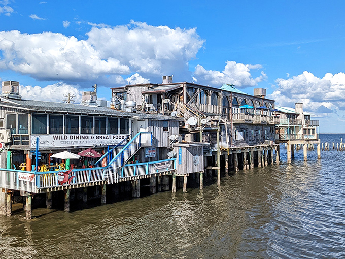 Restaurants on stilts &ndash; because seafood always tastes better when you're practically hovering over the water it came from. Cedar Key's waterfront dining defies gravity and delights taste buds.