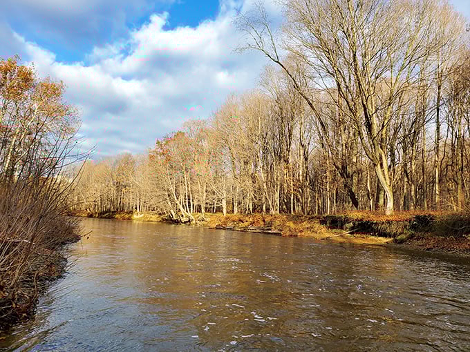 Autumn paints Ashtabula's waterways with golden hues, where peaceful currents mirror the changing seasons in perfect symmetry.