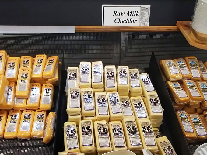 Raw milk cheddar blocks lined up like golden bricks on the yellow brick road to flavor town. Dorothy never had it this good in Oz.