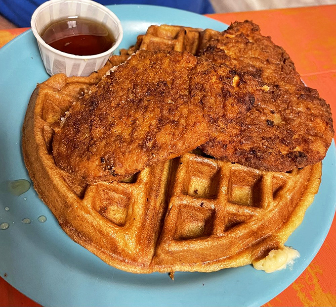 This chicken and waffle situation isn't just breakfast&mdash;it's performance art on a blue plate. The golden waffle practically high-fives that perfectly crispy chicken.