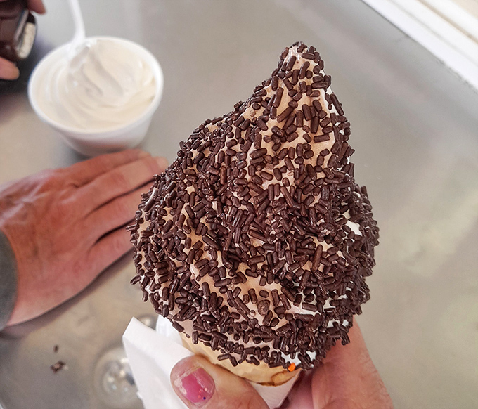 Chocolate ice cream elevated to art form. Those sprinkles aren't just toppings&mdash;they're the confetti at your personal ice cream celebration.