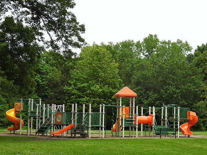 This playground isn't just for kids&mdash;it's a reminder that sometimes the best therapy is sliding down something orange while pretending you're supervising children.