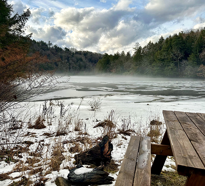 Winter's gentle touch transforms the Clarion Loop Trail into a misty dreamscape where the boundary between water and sky becomes poetry rather than geography.