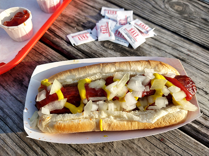 Behold the Coney Dog in all its chili-crowned glory, proving that Detroit knows how to dress a frankfurter properly.