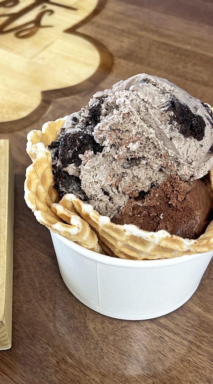 Cookies and cream reimagined &ndash; with chunks so generous they're practically real estate. This isn't ice cream with cookies; it's cookies with benefits.