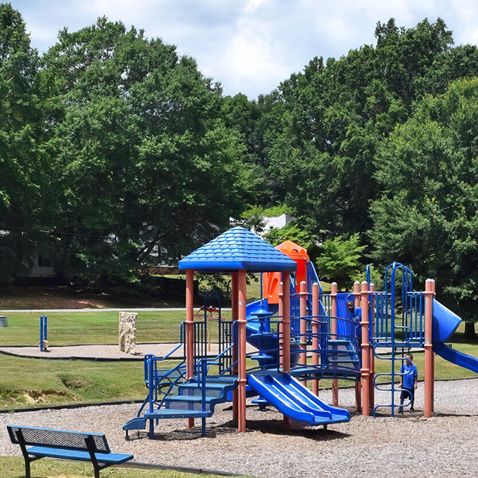 Childhood laughter echoes across Courtland Park's playground. Remember when our biggest worry was who got the good swing? This place does.