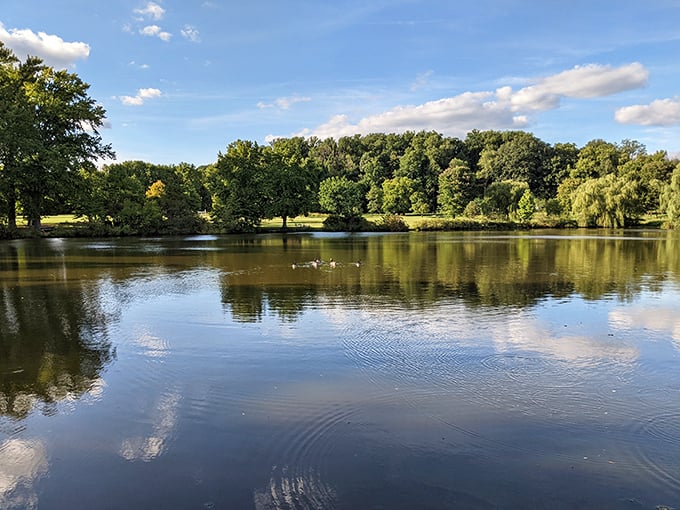 Mirror, mirror on the pond &ndash; who's the fairest park around? Bellevue's tranquil waters reflect centuries of stories and today's perfect sky.