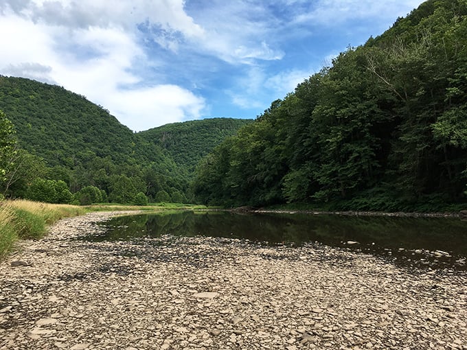 Smooth stones line the creek bed like nature's mosaic, while mountains stand guard. The kind of peaceful spot that makes you whisper automatically.