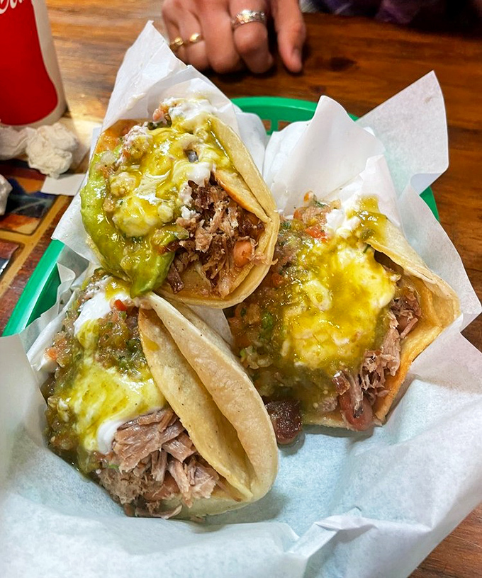 Golden crispy tacos stuffed with tender carnitas prove that perfection comes in crunchy packages.