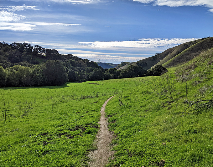 Nature's own stress reliever: rolling green hills that seem to unfurl toward the horizon, offering hikers a peaceful escape from urban chaos.