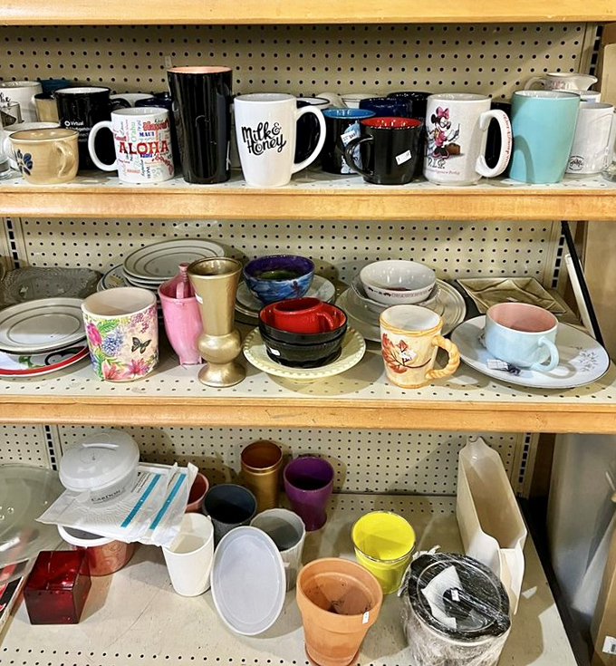 Vintage mugs and cups await new coffee adventures, each with stories to tell.