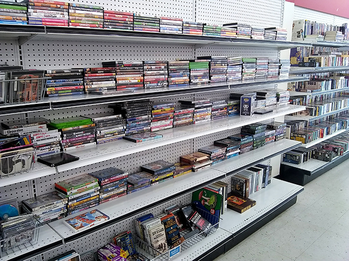 A cinephile's paradise where forgotten blockbusters and cult classics line up like old friends at a reunion.