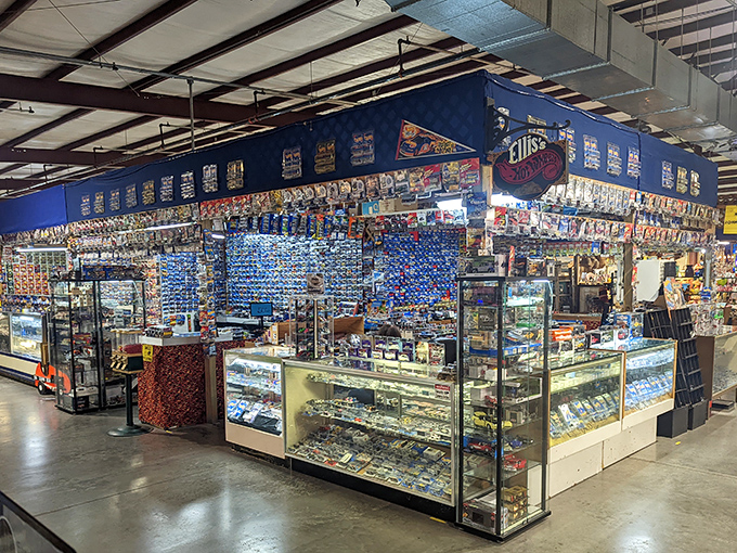 Collector's paradise with gleaming display cases that make grown adults press their noses against the glass like kids at a candy store.