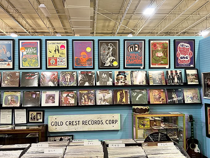 Vinyl paradise! Album covers create a colorful mosaic of musical history while crates below hold forgotten hits waiting for their second spin.