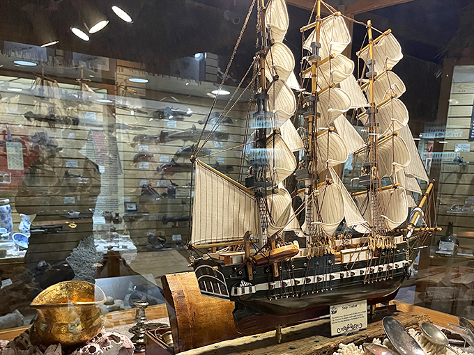 A treasure trove of maritime history where model ships tell tales of adventures on the high seas.