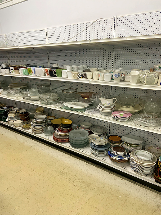 Enough dishes to host Thanksgiving for the entire neighborhood - Corelle plates that could survive the apocalypse included.