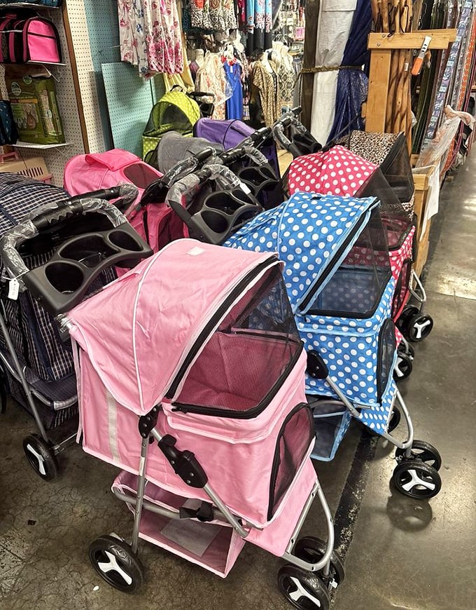 Pet parents, rejoice! These stylish pet strollers prove that in Tennessee, even four-legged family members deserve the royal treatment during shopping expeditions.