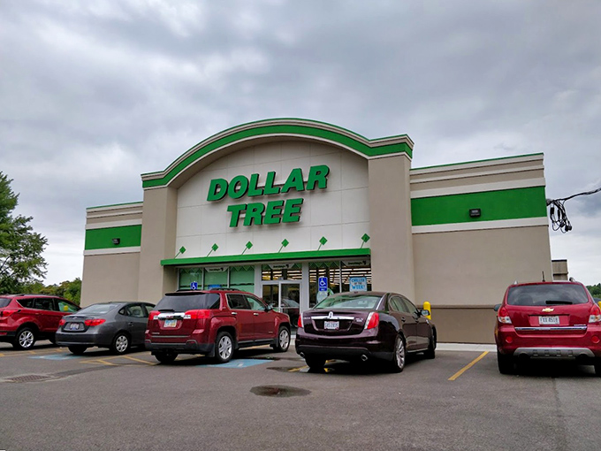 Even retirees appreciate a bargain! Geneva's Dollar Tree ensures your nest egg stretches further than your patience with self-checkout lanes.
